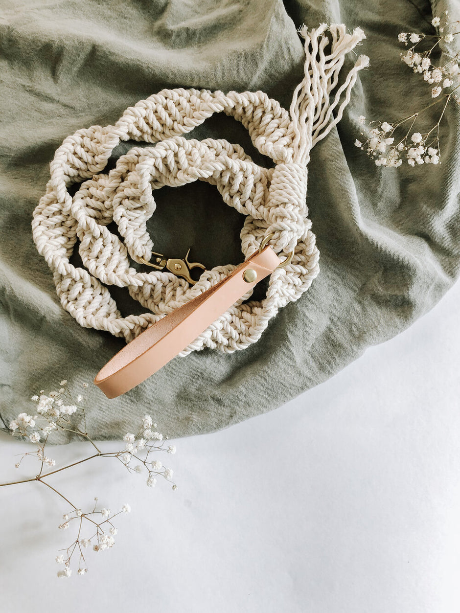 All Natural Dog Treats | Pom and Chi – Pom & Chi Pet Boutique